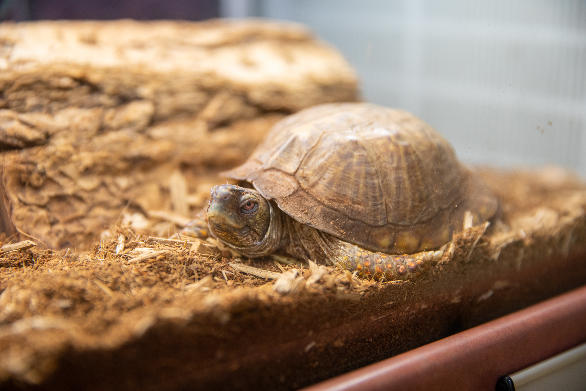 Highland Sam J. Racadio Library and Environmental Learning Center ...