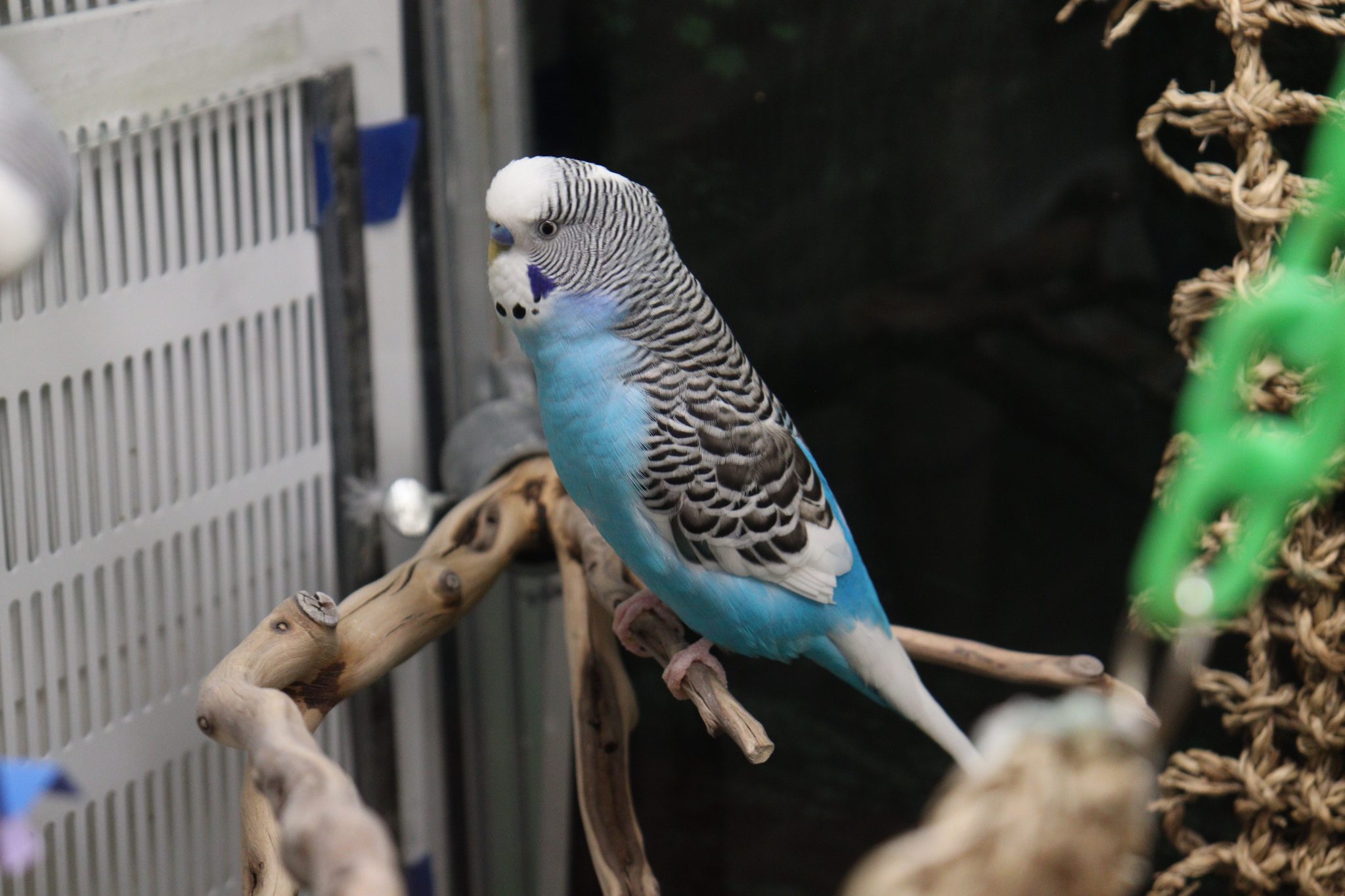 Highland Sam J. Racadio Library and Environmental Learning Center ...