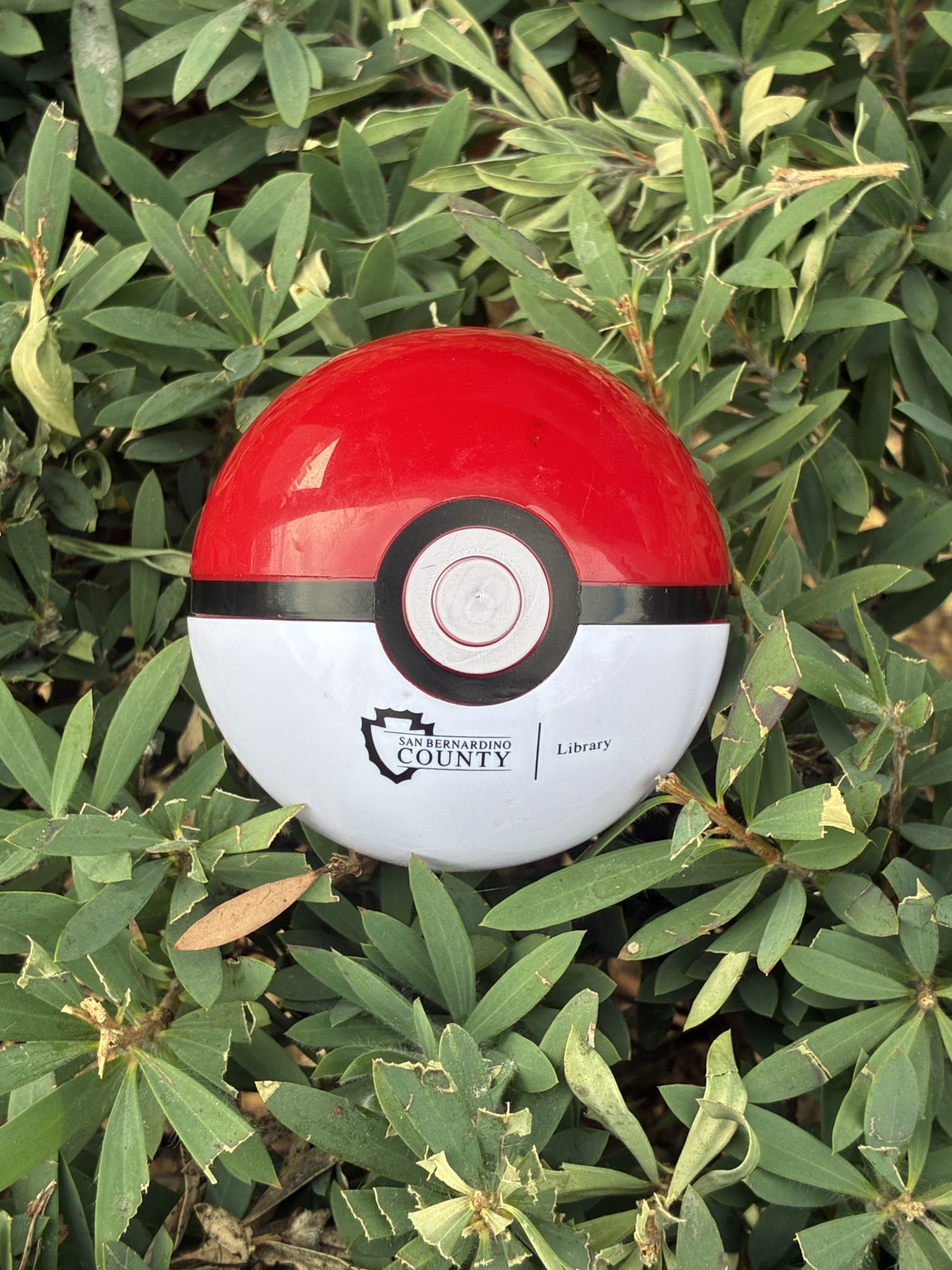Read to Catch ’em All – Library