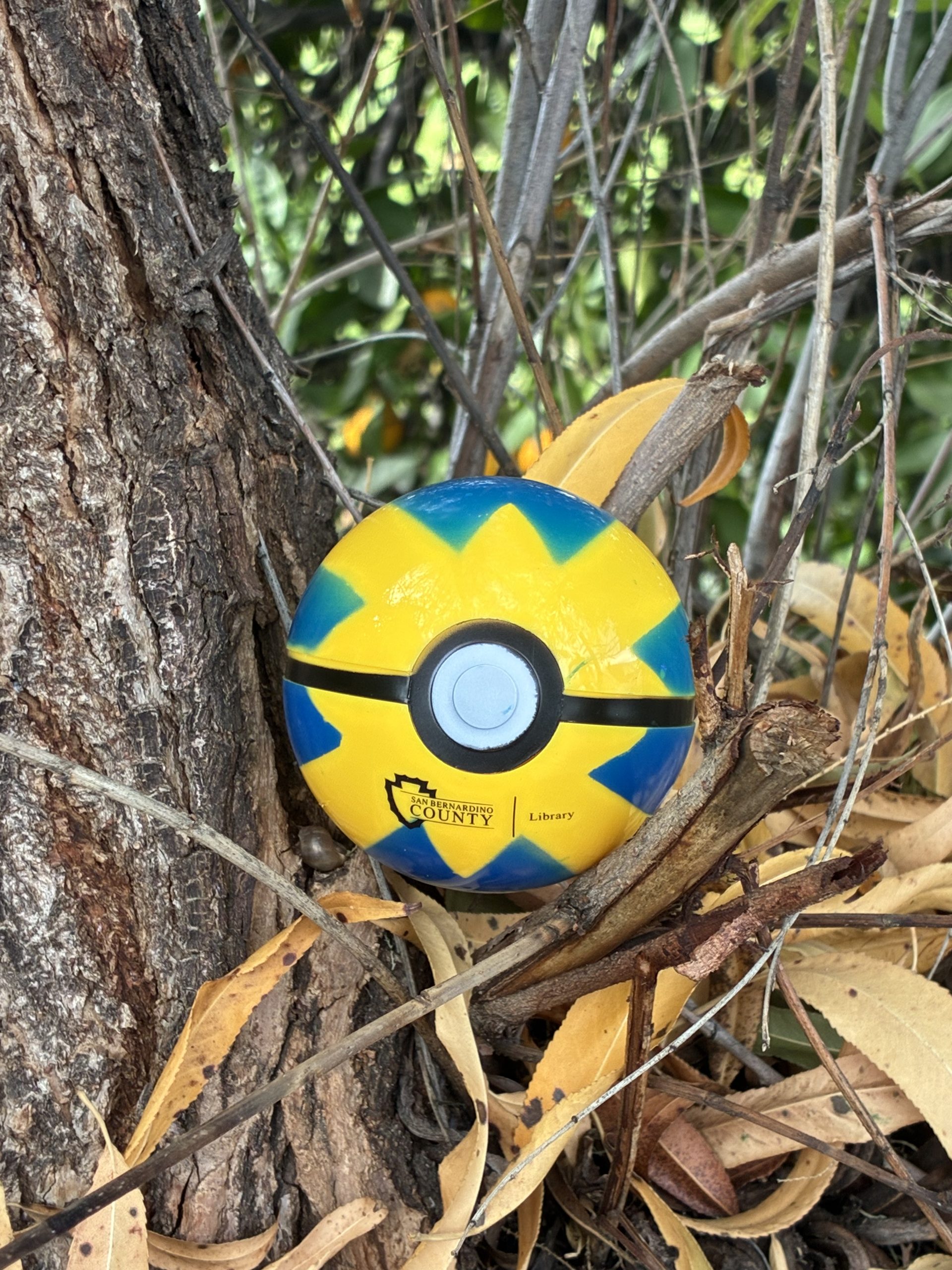 Read to Catch ’em All – Library