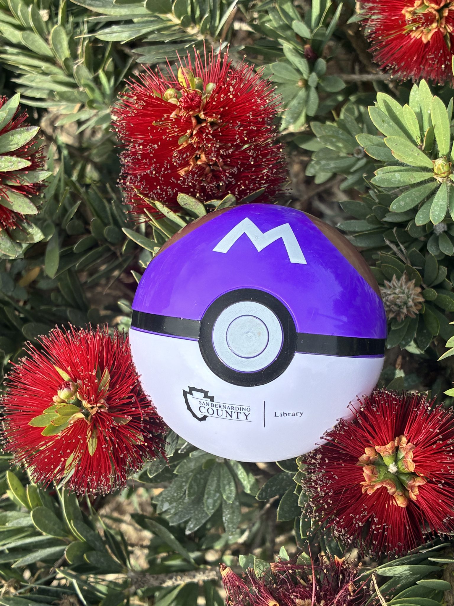 Read to Catch ’em All – Library