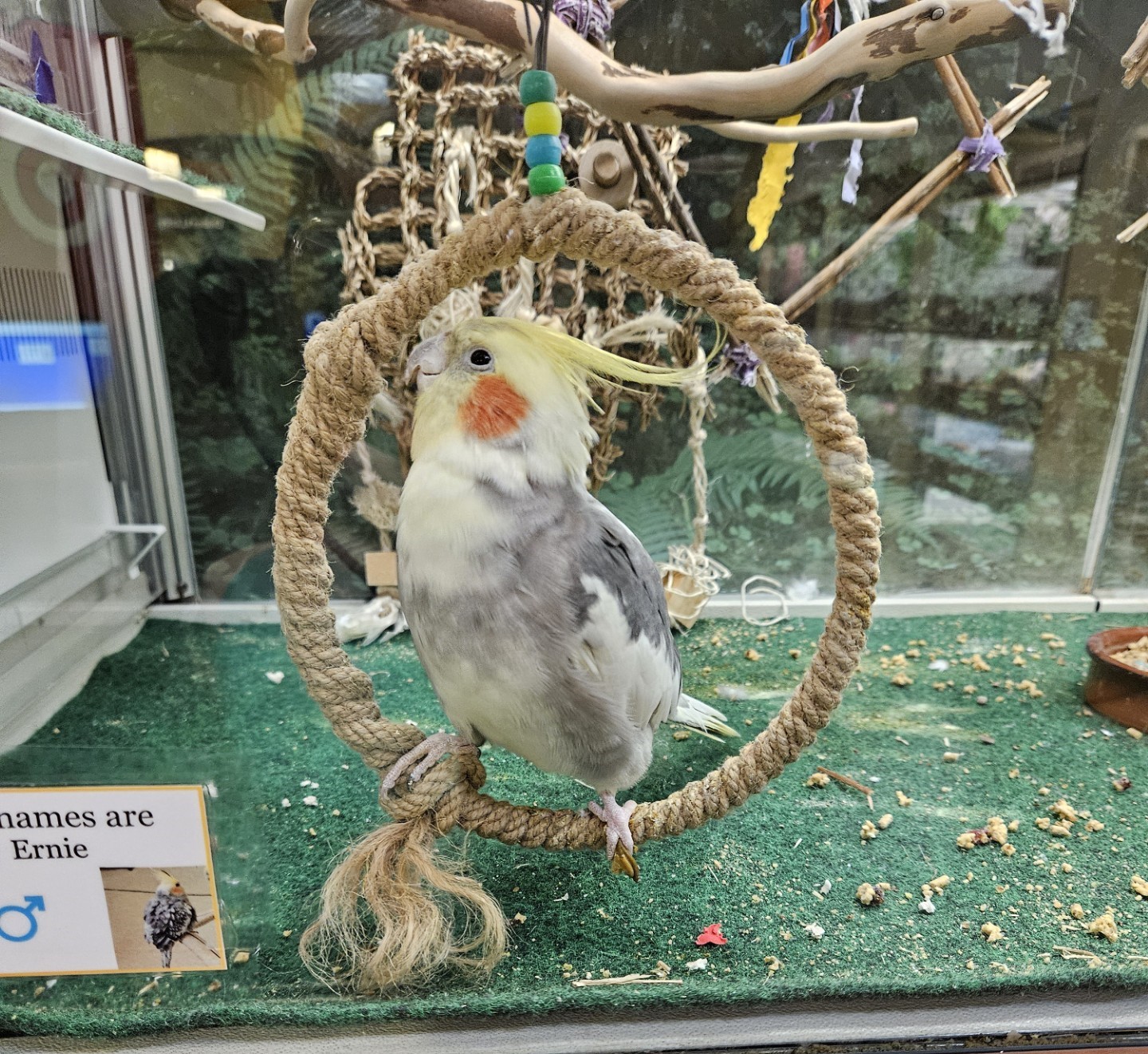 Highland Sam J. Racadio Library and Environmental Learning Center ...