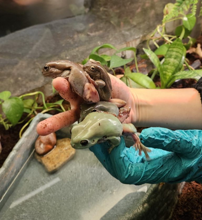 Highland Sam J. Racadio Library and Environmental Learning Center ...